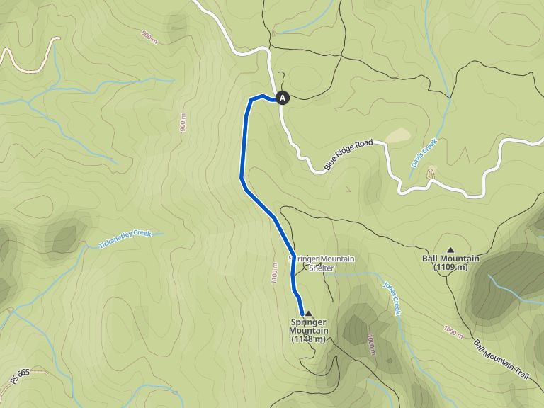 Springer Mountain via Appalachian Trail — Blue Ridge Wildlife ...